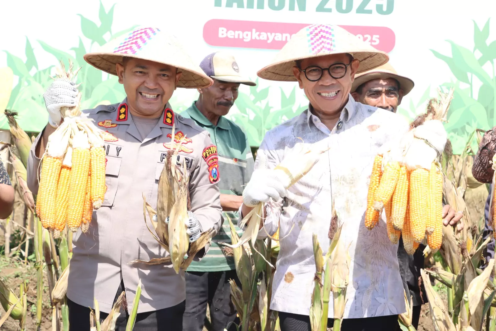 Serentak Nasional, Kota Batu Ikut Panen Raya Jagung